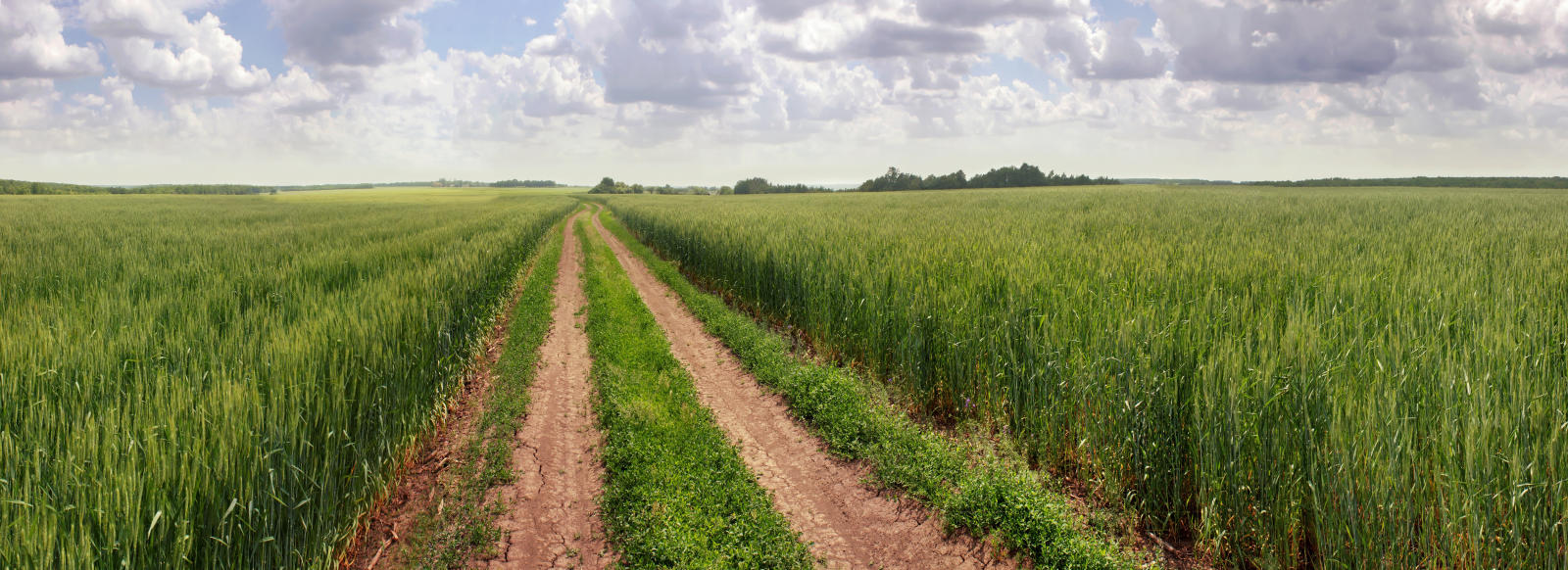 The Latest Agricultural Innovations: A 2023 Retrospective | Horizon ...