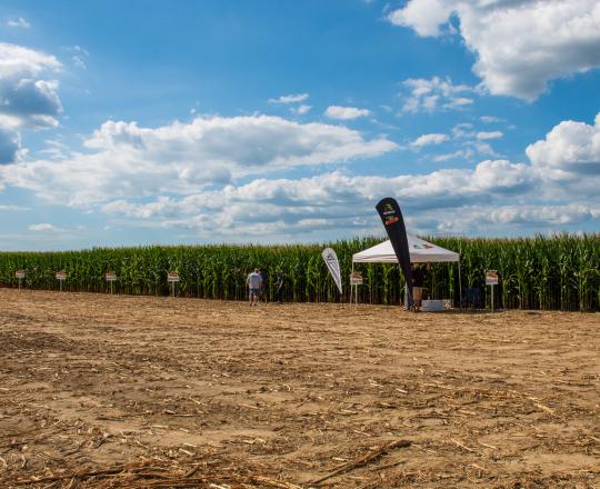 Come See What's Growing | Horizon Farm Credit