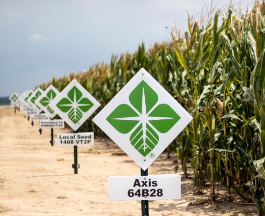 Come See What's Growing | Horizon Farm Credit